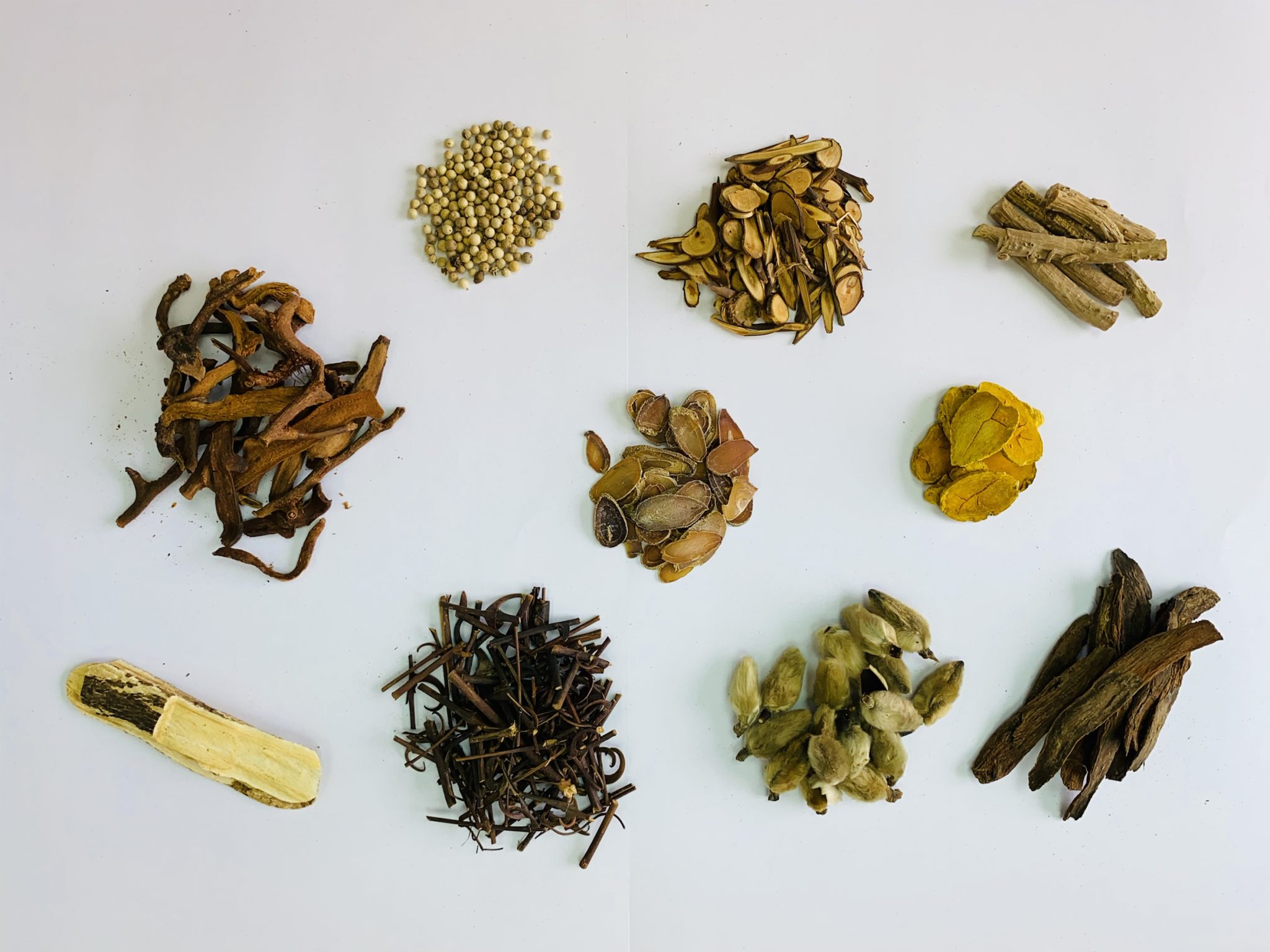 Regencell Bioscience - Save and Improve lives